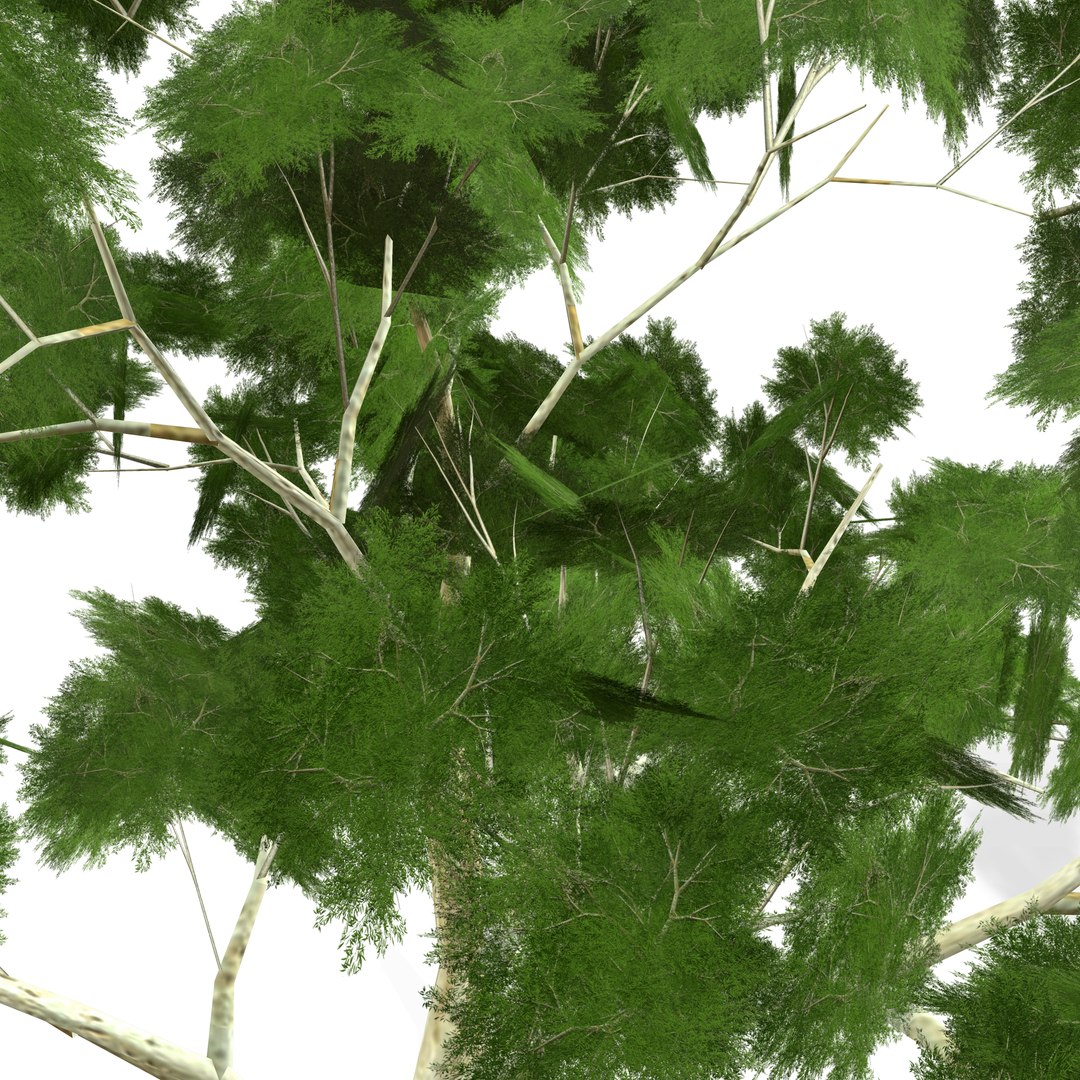3D Trees Gaming Environment - TurboSquid 1243077