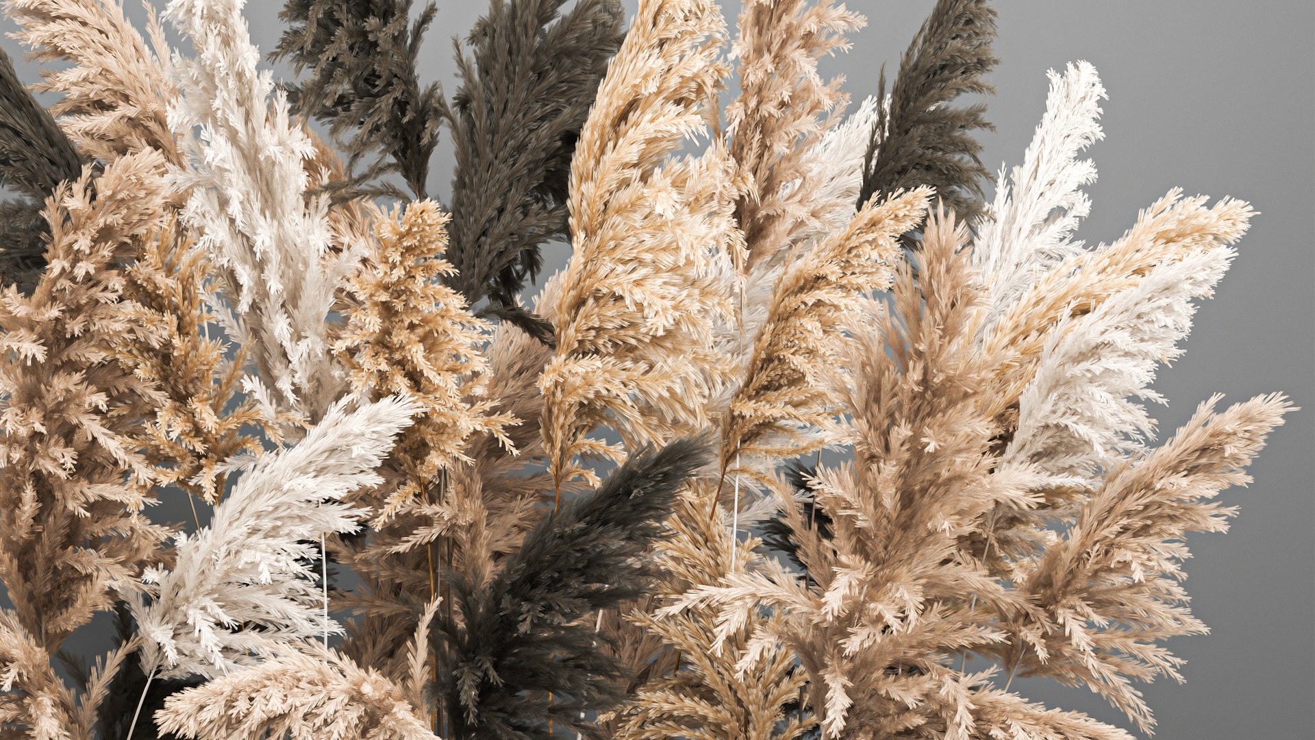 3D model Bouquet of dried reeds in a vase 186 - TurboSquid 1808407