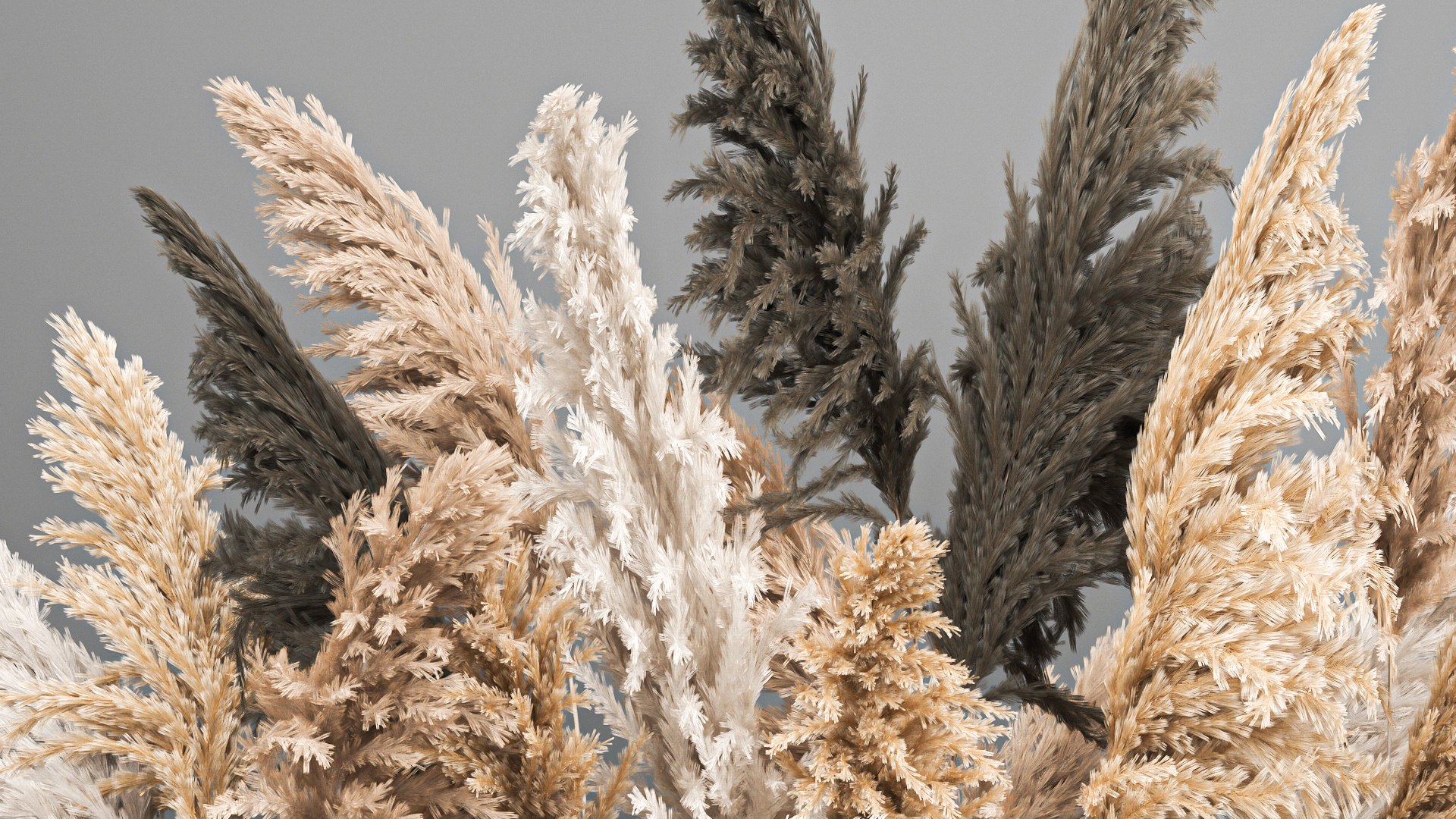 3D model Bouquet of dried reeds in a vase 186 - TurboSquid 1808407