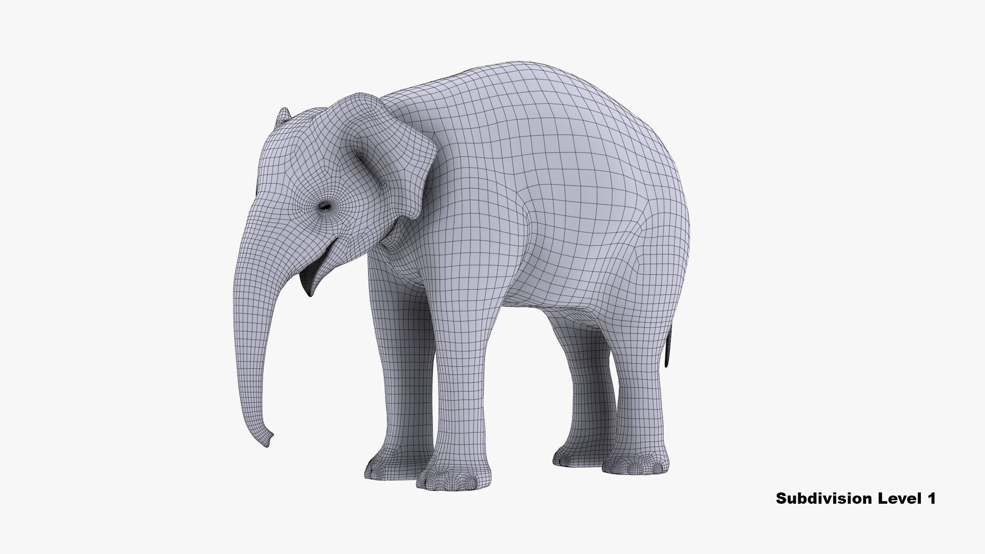 Elephant 3d Model