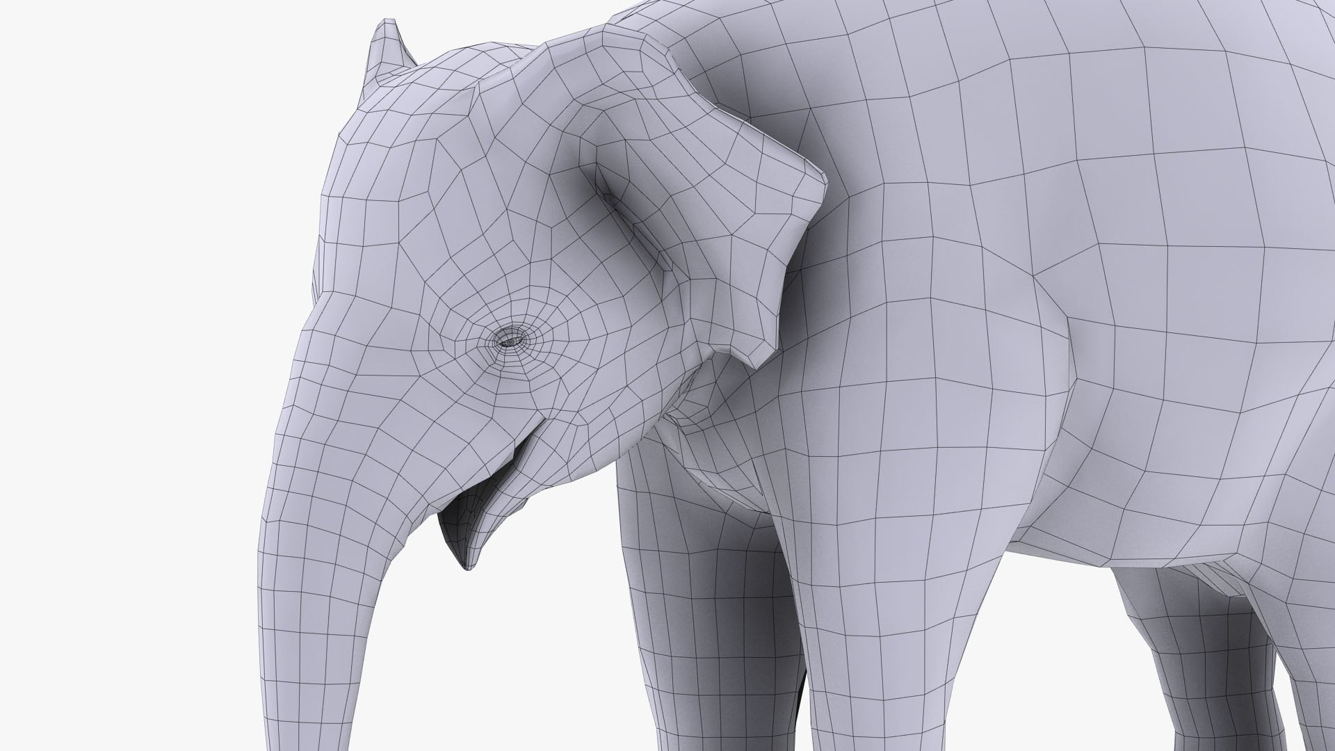 Elephant 3d Model