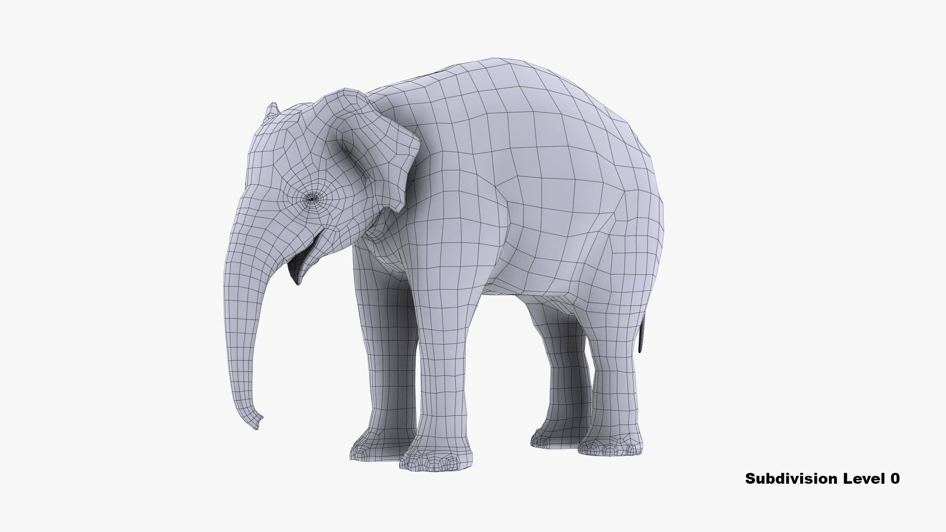 Elephant 3d Model