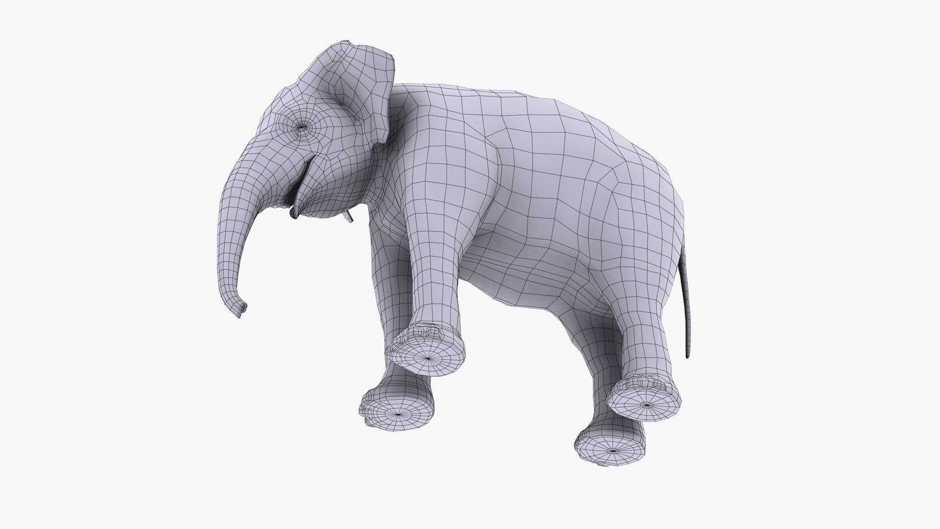 Elephant 3d Model