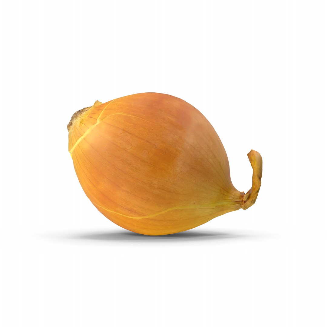 3D Model Onion - TurboSquid 2359599