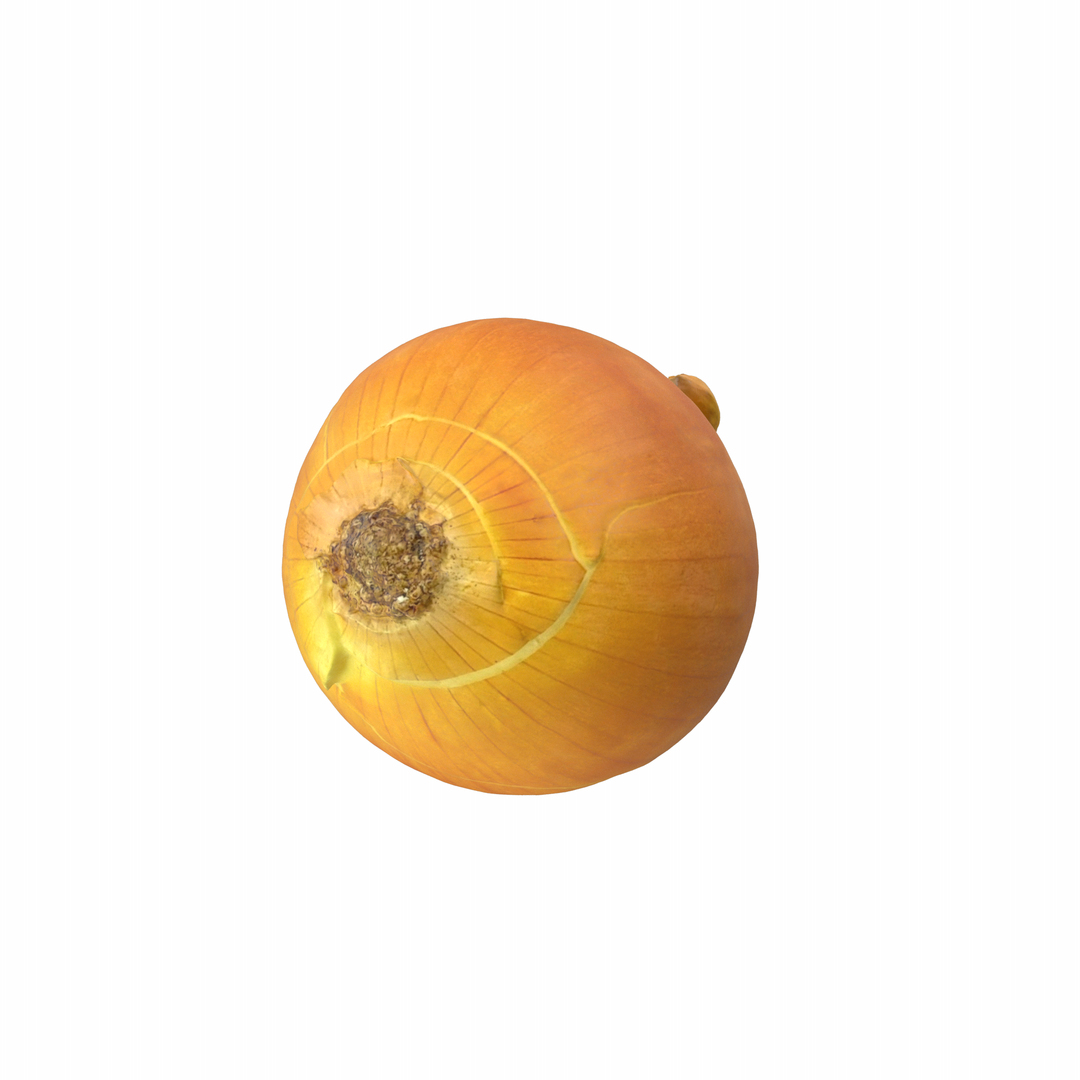 3D Model Onion - TurboSquid 2359599