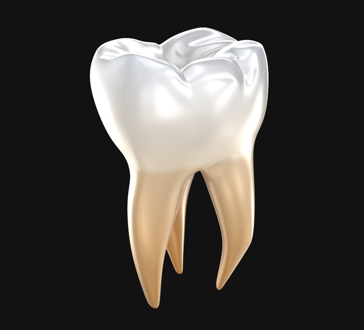 Molar Teeth Human Tooth 3D Model - TurboSquid 1266814