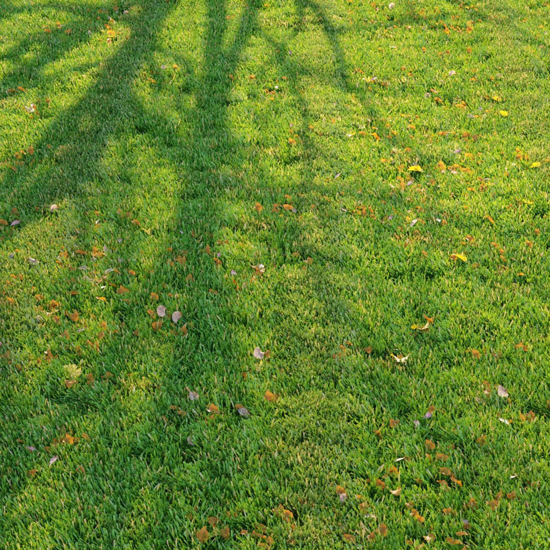 3D Cut Grass Model - TurboSquid 1937753