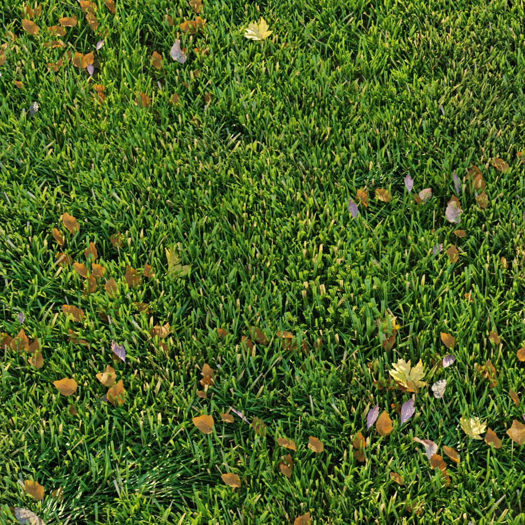 3D Cut Grass Model - TurboSquid 1937753