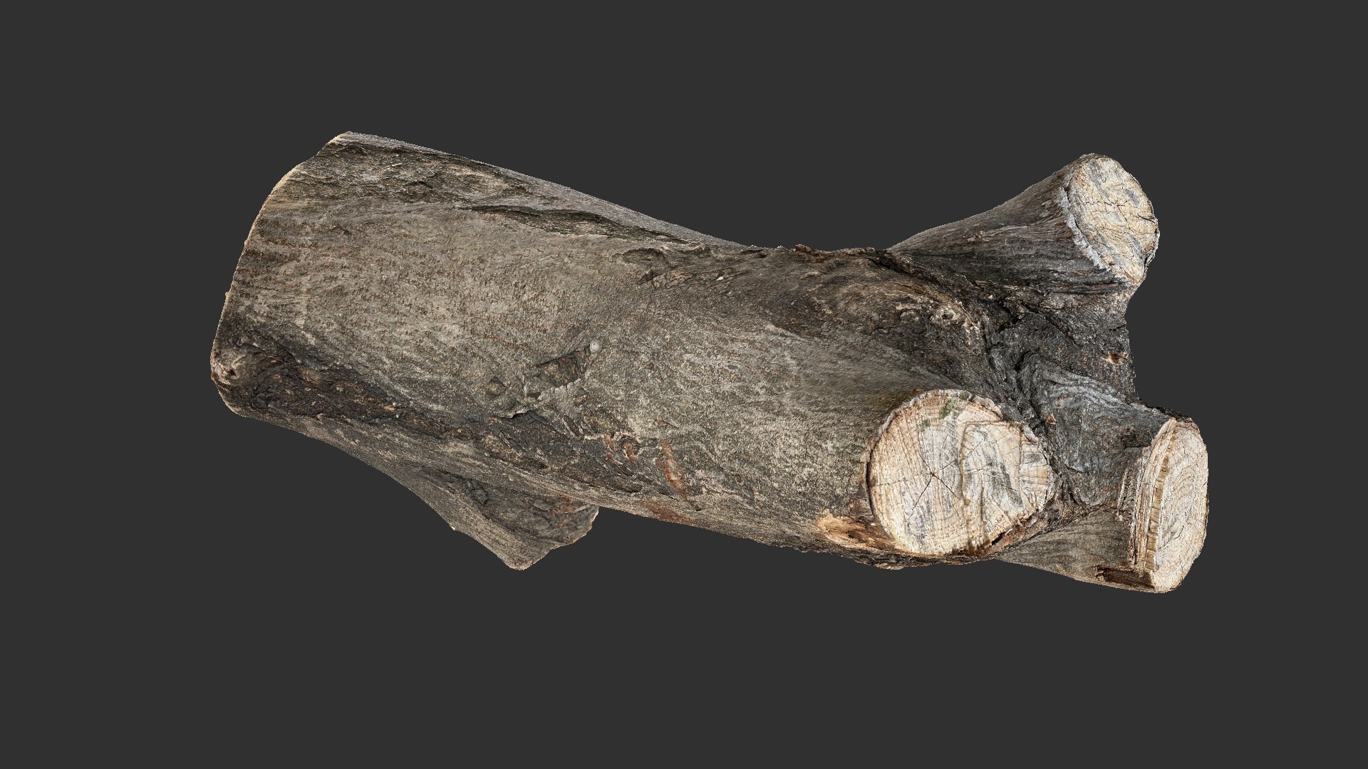 A Piece Of Sawn Wood 3d Scan In Highpoly 3D Model - TurboSquid 2203236