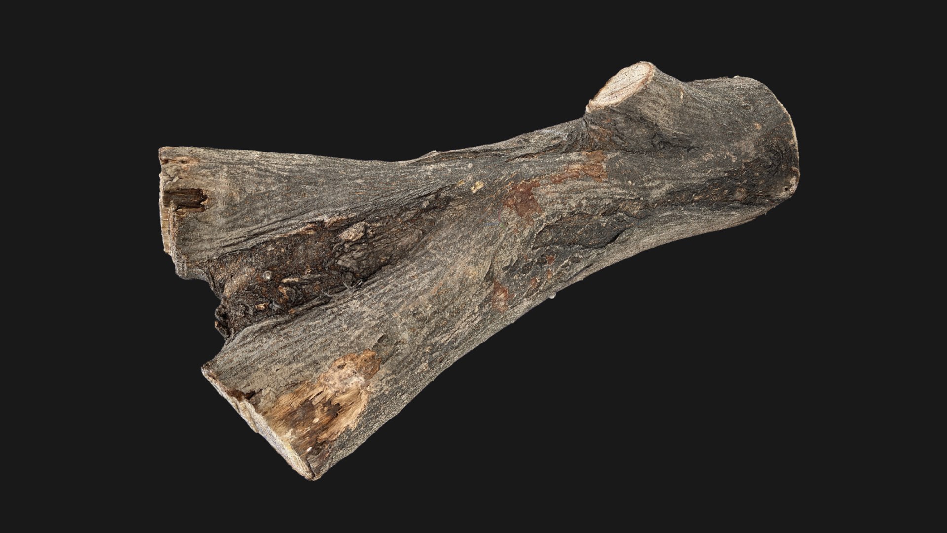 A Piece Of Sawn Wood 3d Scan In Highpoly 3D Model - TurboSquid 2203236