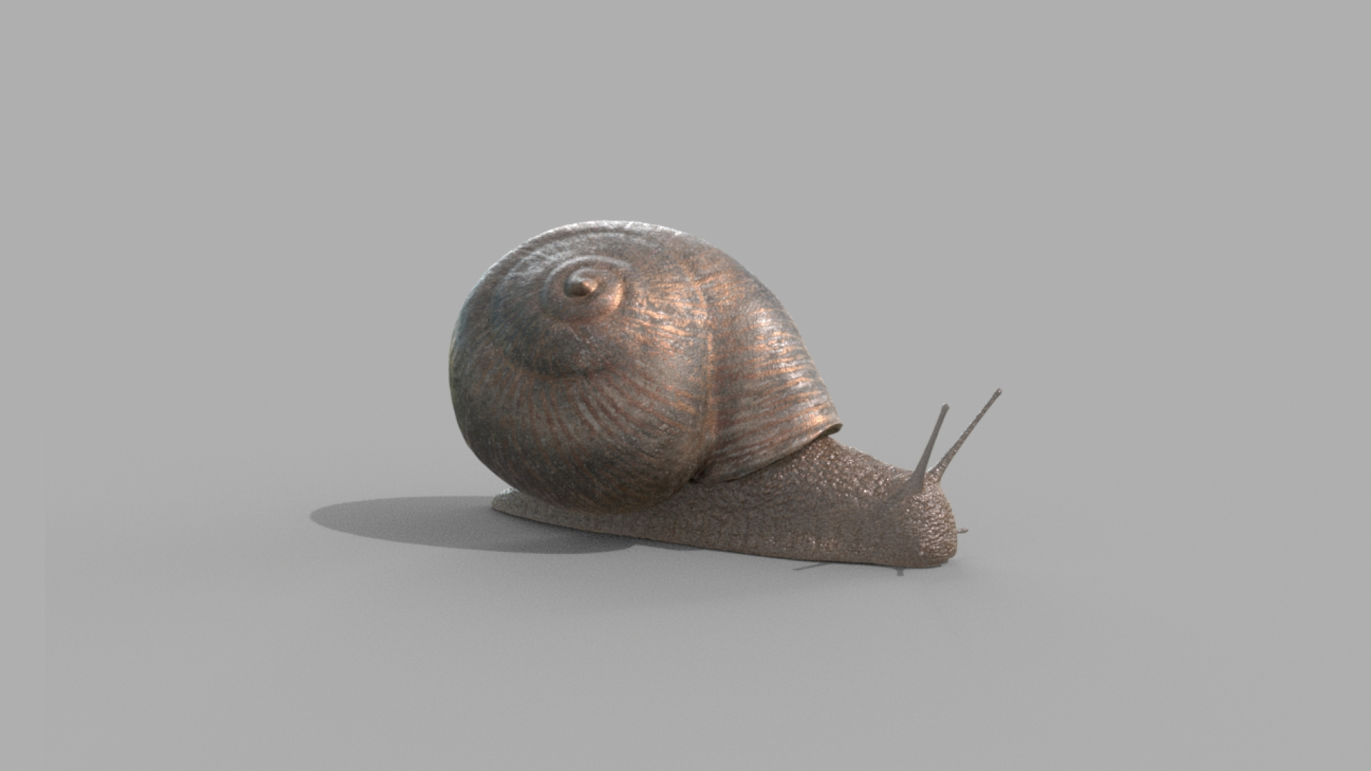 3D Model Snail Slug Animation - TurboSquid 1334650