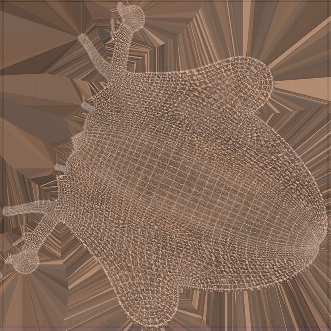 3D model snail slug animation - TurboSquid 1334650