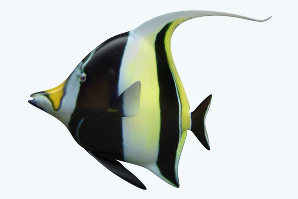 3D Manfish TurboSquid 1206229