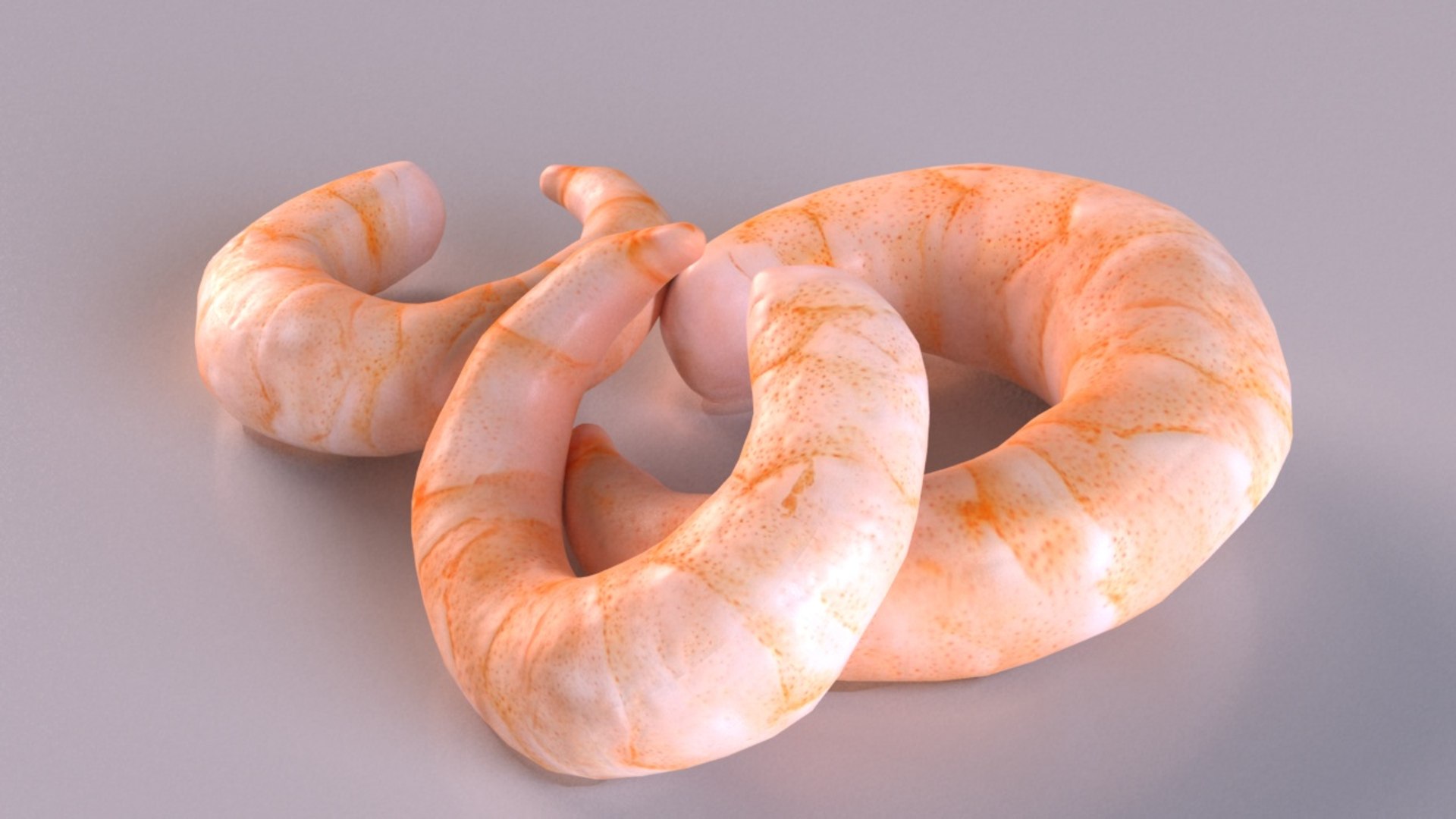 Free prawn shrimp 3D - TurboSquid 1635352