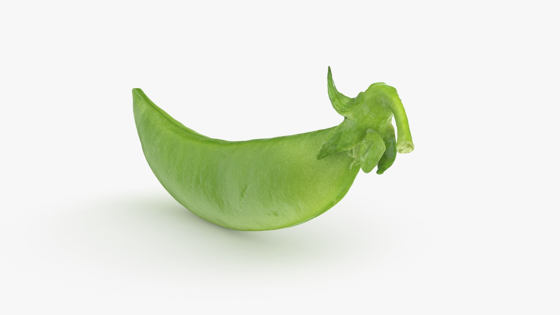 3D Model Snap Pea 01 - TurboSquid 2250007