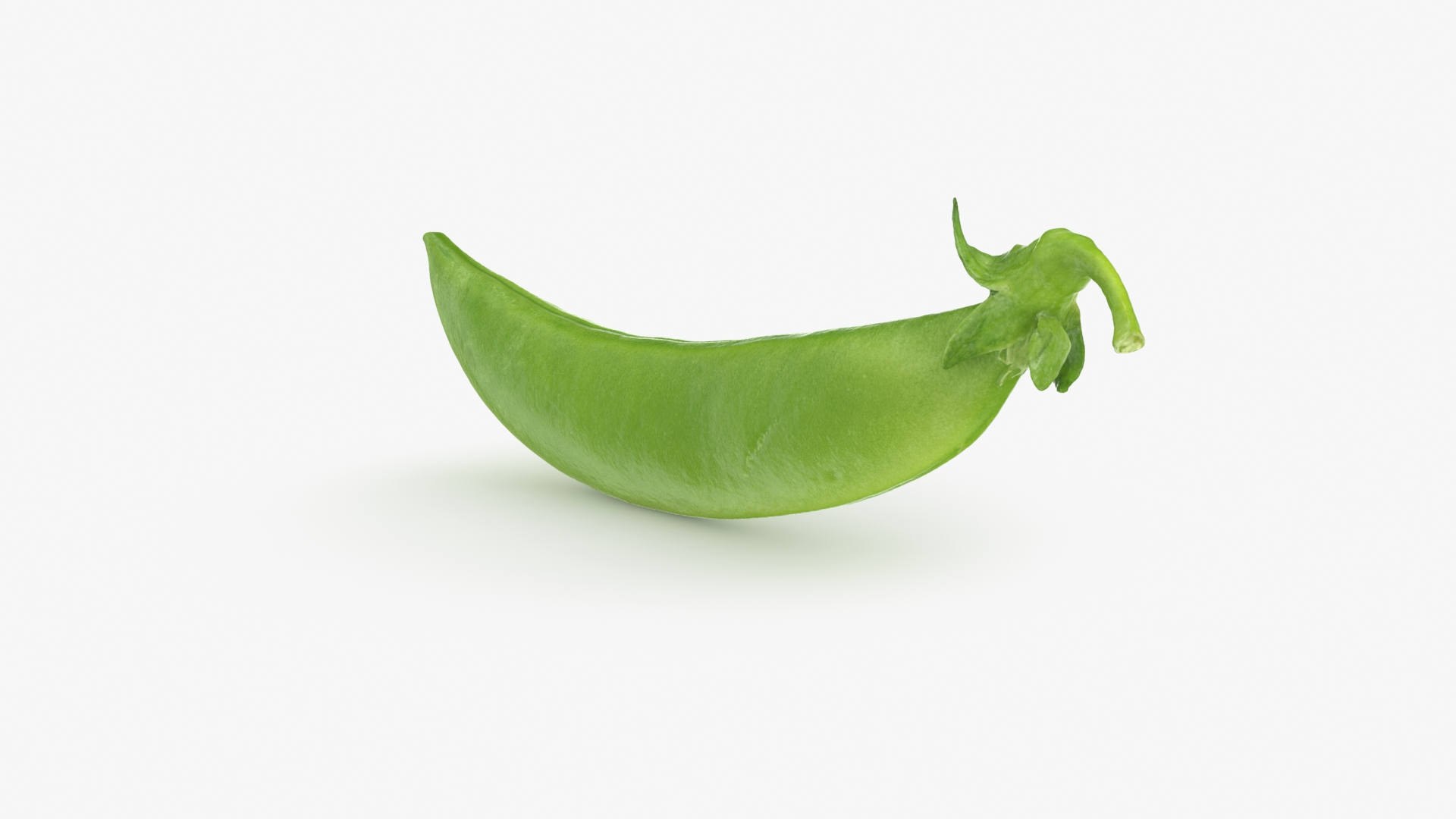 3D Model Snap Pea 01 - TurboSquid 2250007