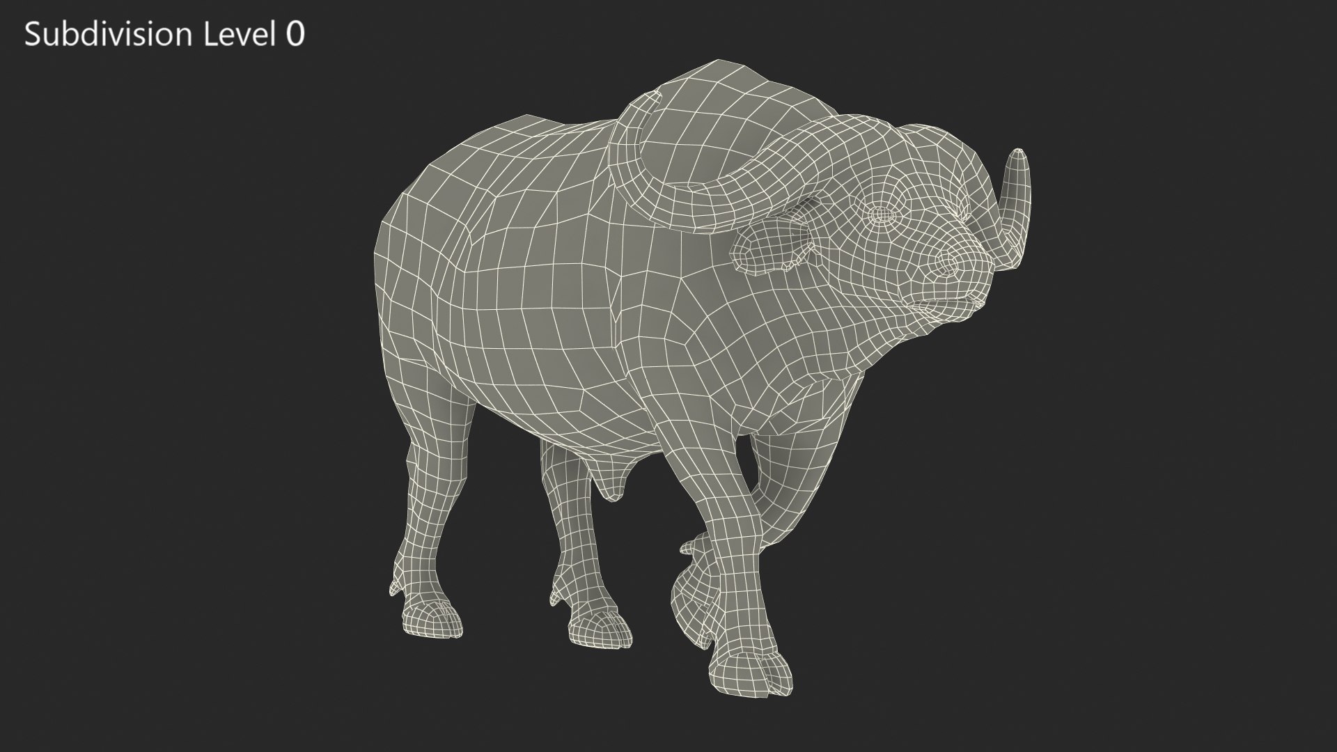 3D African Buffalo Walking Pose - TurboSquid 1567849