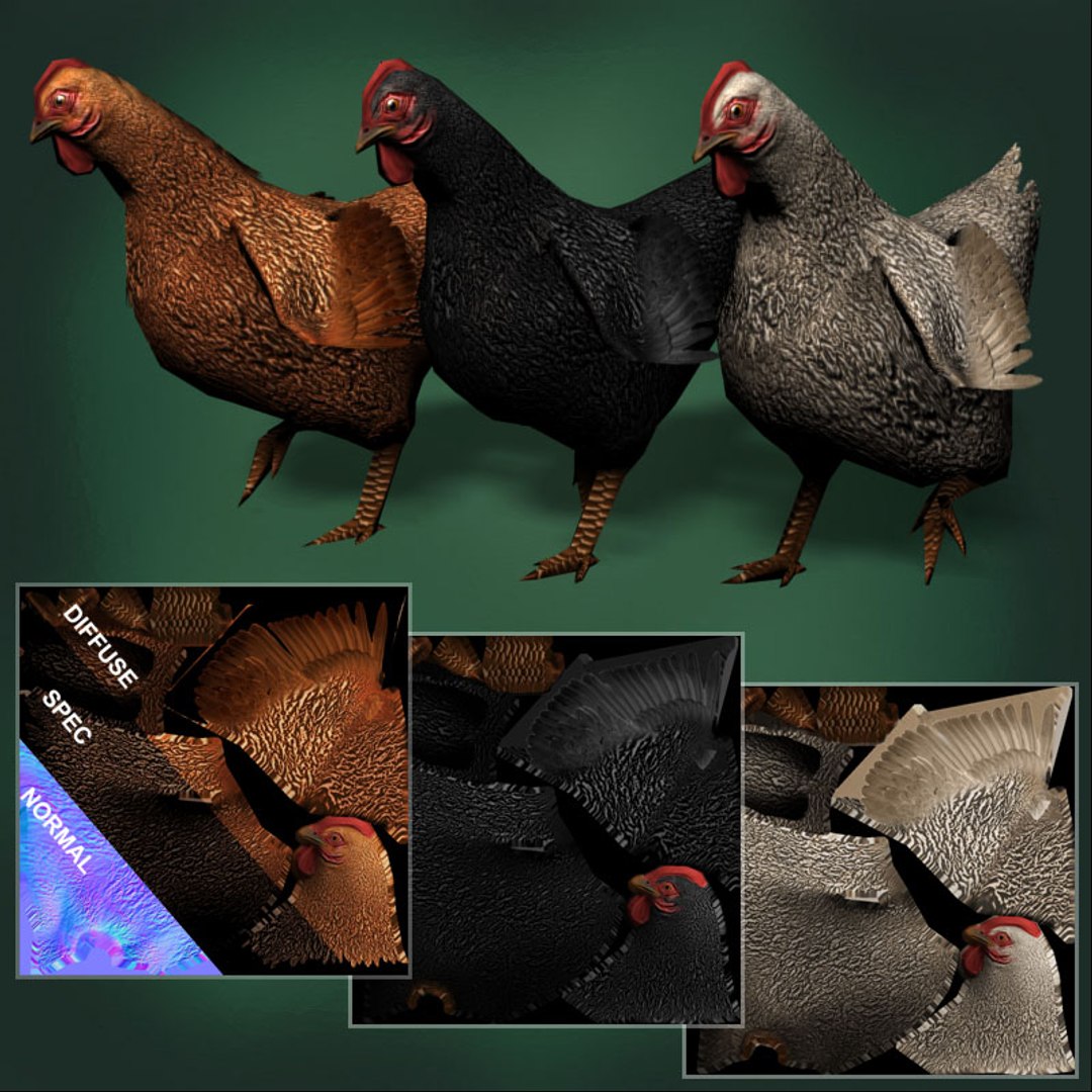 3d Chicken Model