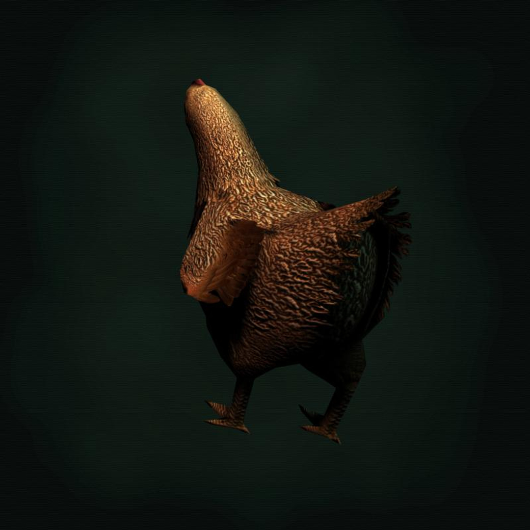 3d Chicken Model