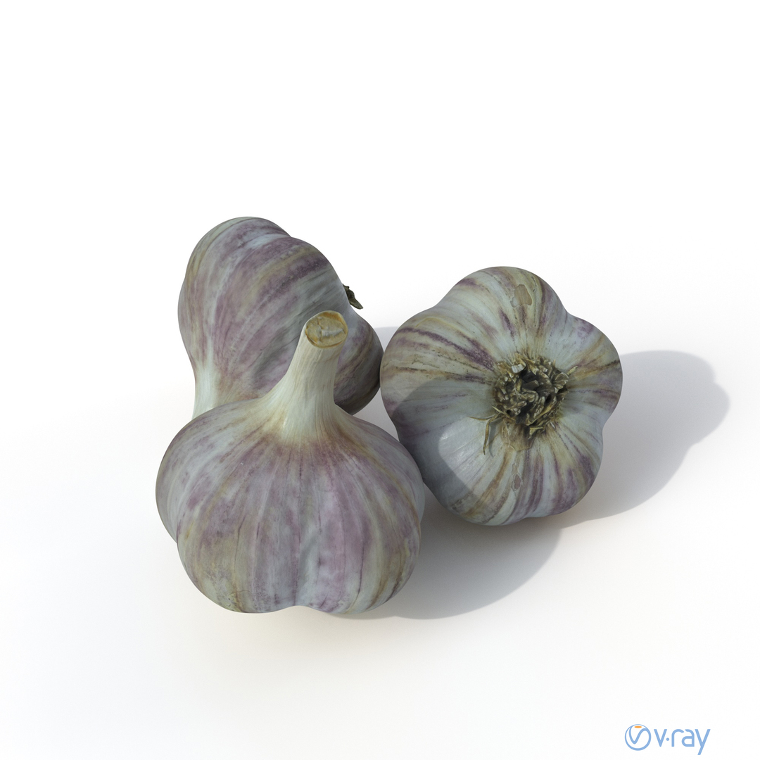 Garlic photogrammetry arnold 3D model - TurboSquid 1231046