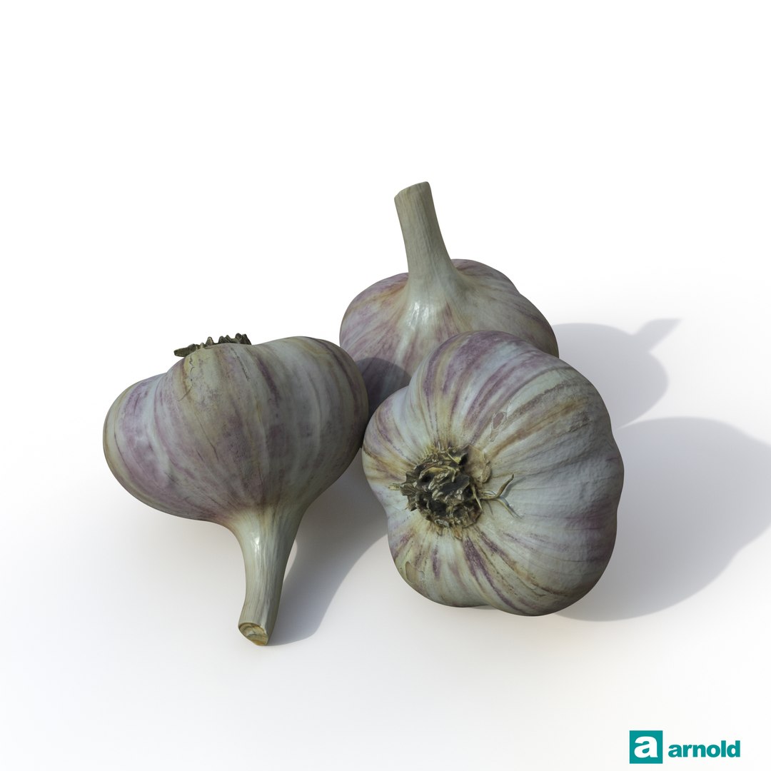 Garlic photogrammetry arnold 3D model - TurboSquid 1231046