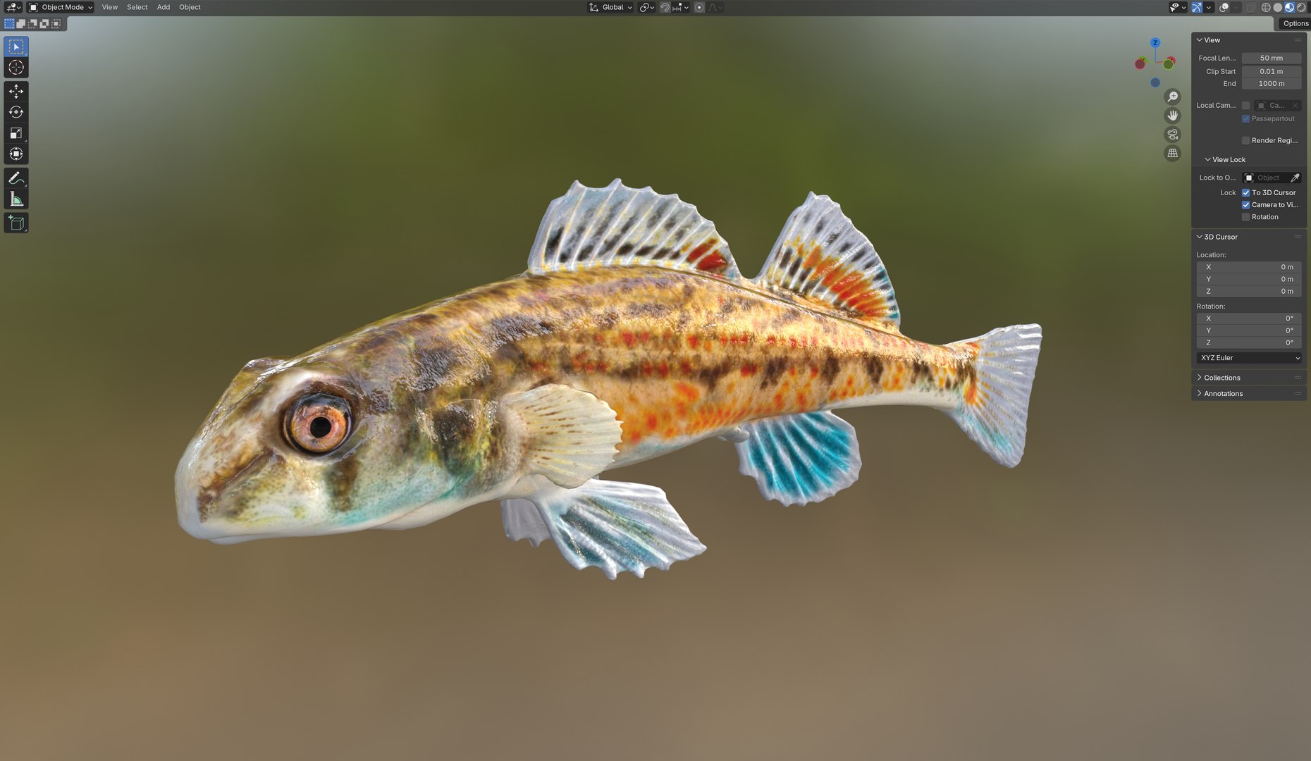3D Coastal Darter Fish 1 - TurboSquid 2511858