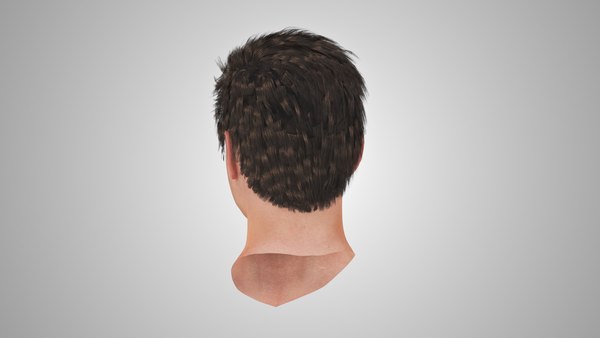 modelo 3d Anatomía completa de la cabeza humana - TurboSquid 1925680