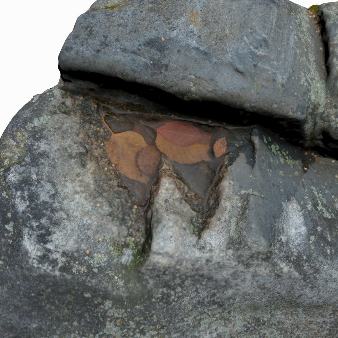 3d Model Realistic Puddle