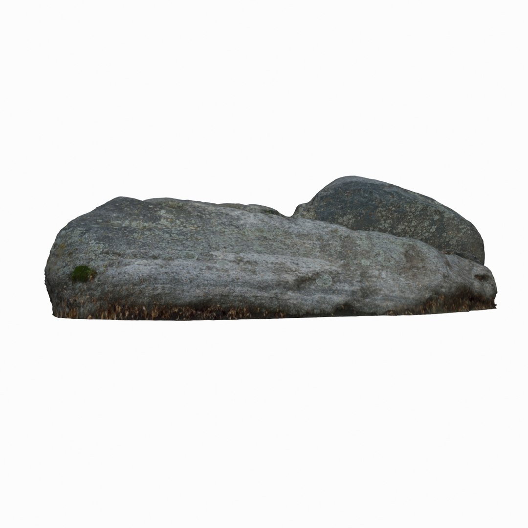 3d Model Realistic Puddle