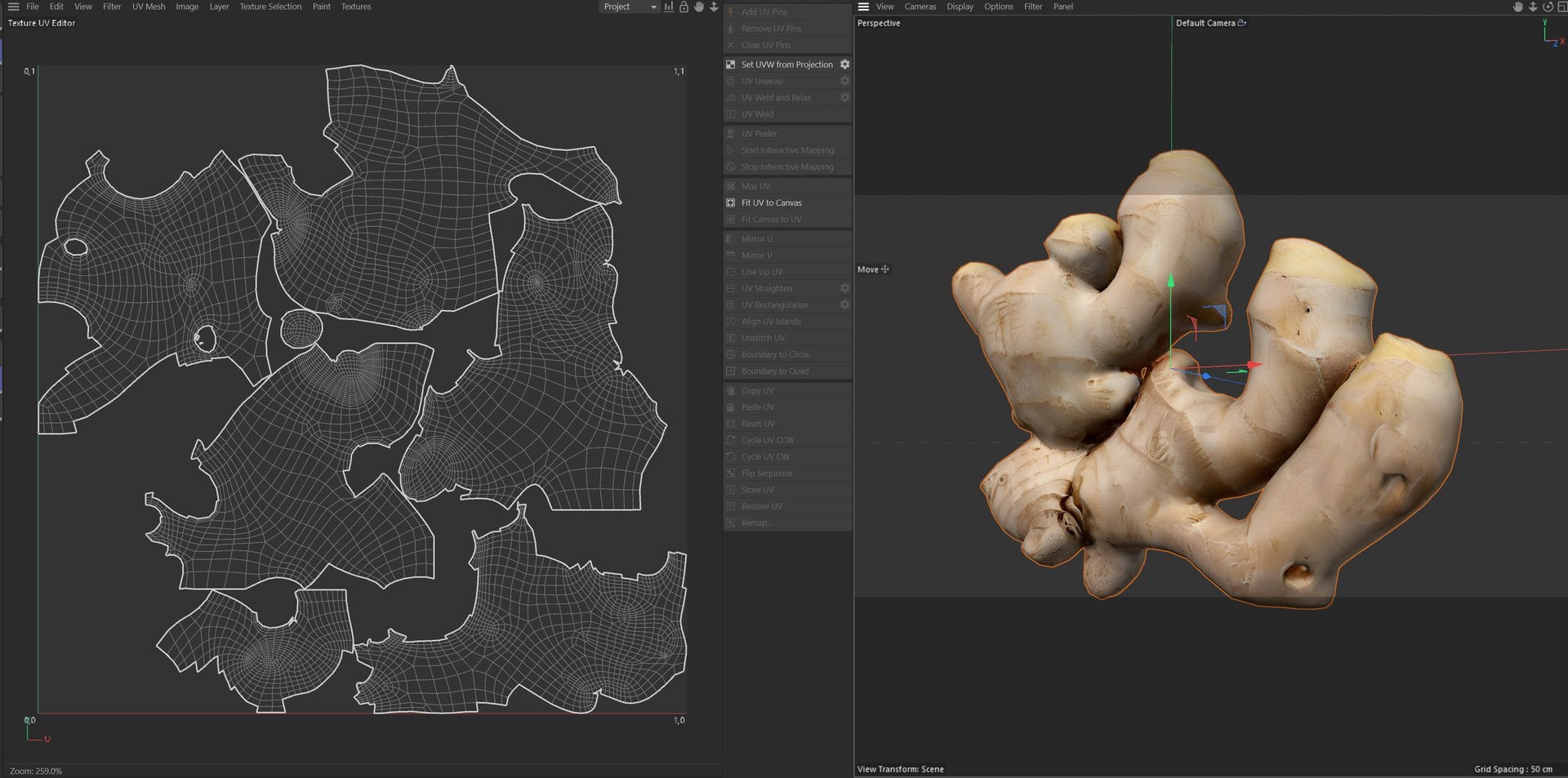 3D Ginger V2 - TurboSquid 2407964