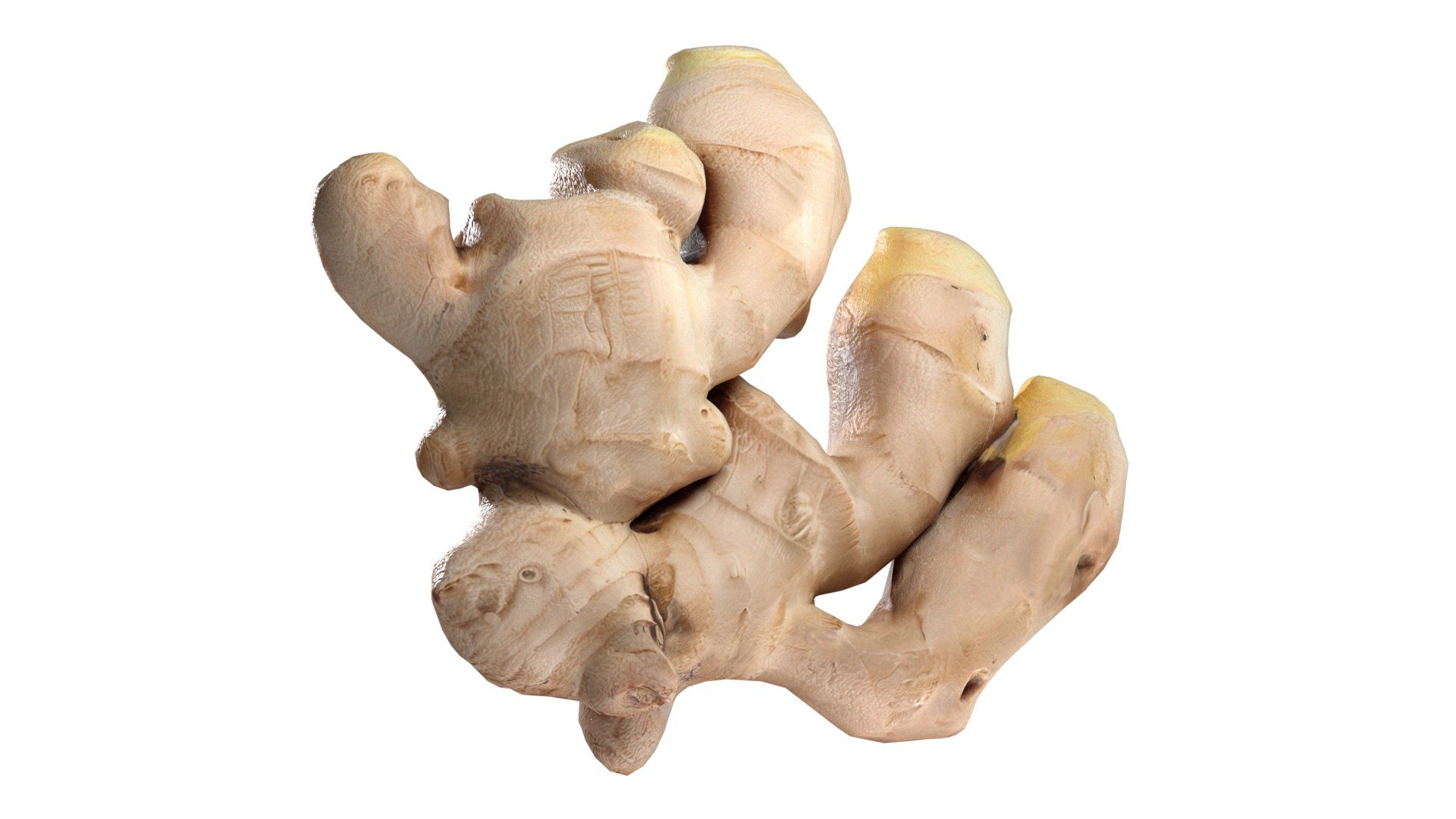 3D Ginger V2 - TurboSquid 2407964