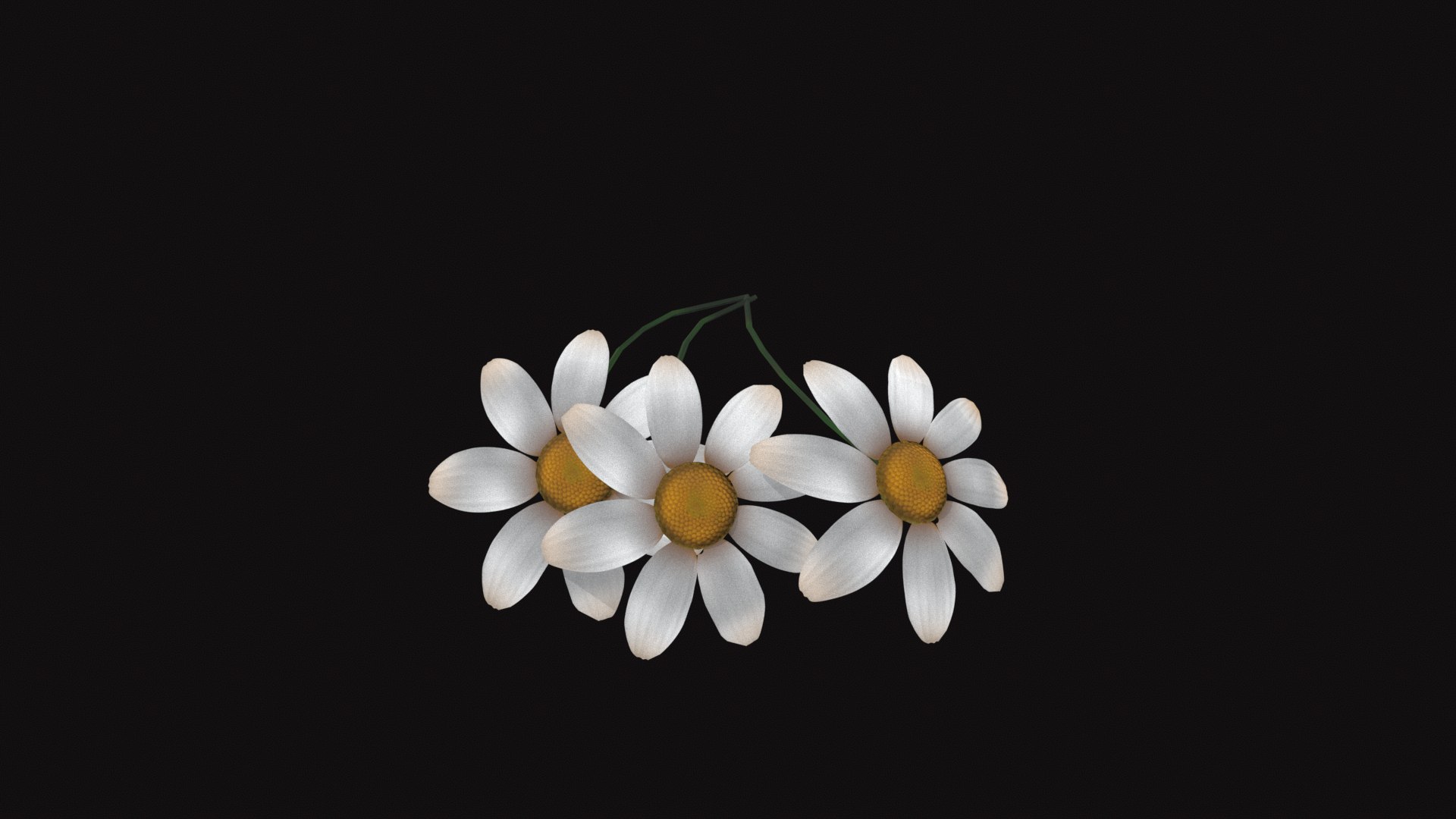 3D Medieval Chamomile Model - TurboSquid 2322743