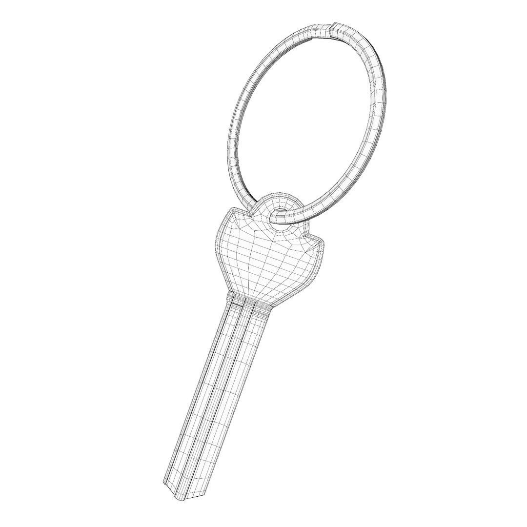 Door Key 3D - TurboSquid 1986599