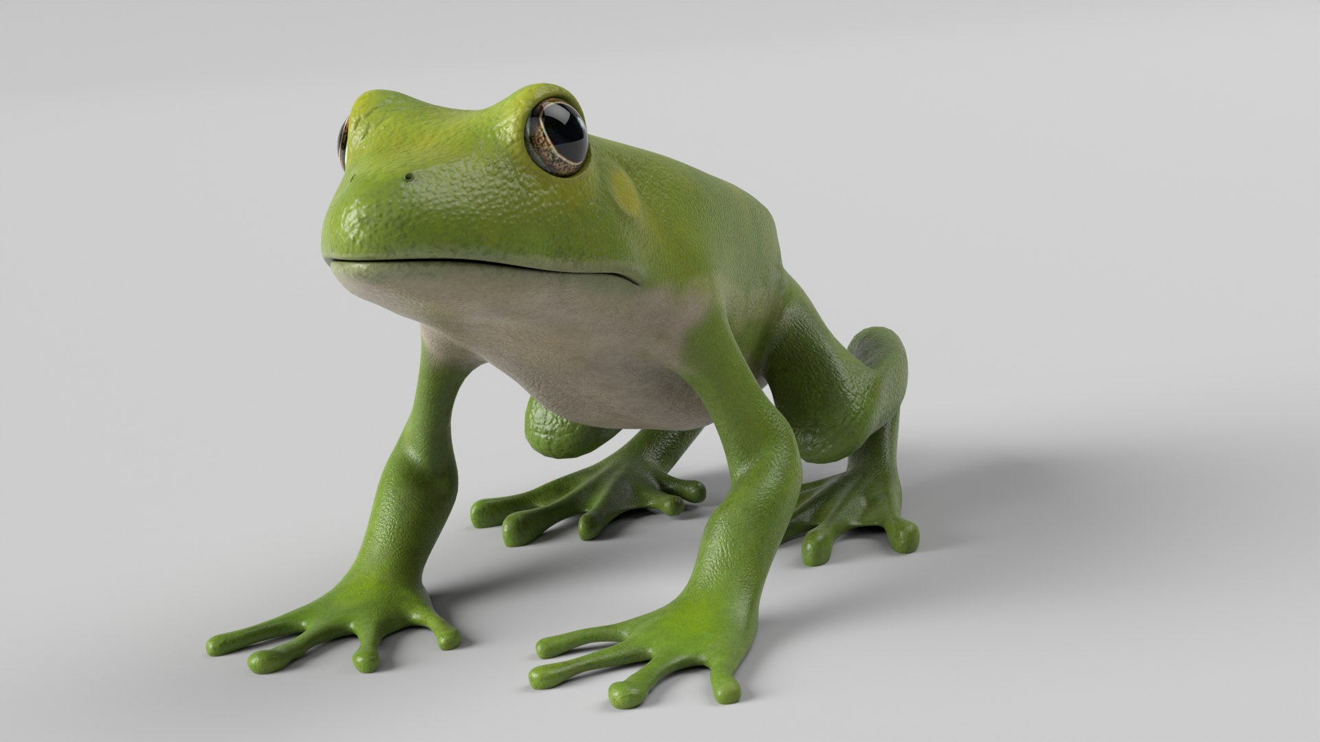 Green Tree Frog Animated 3D Model - TurboSquid 2185123