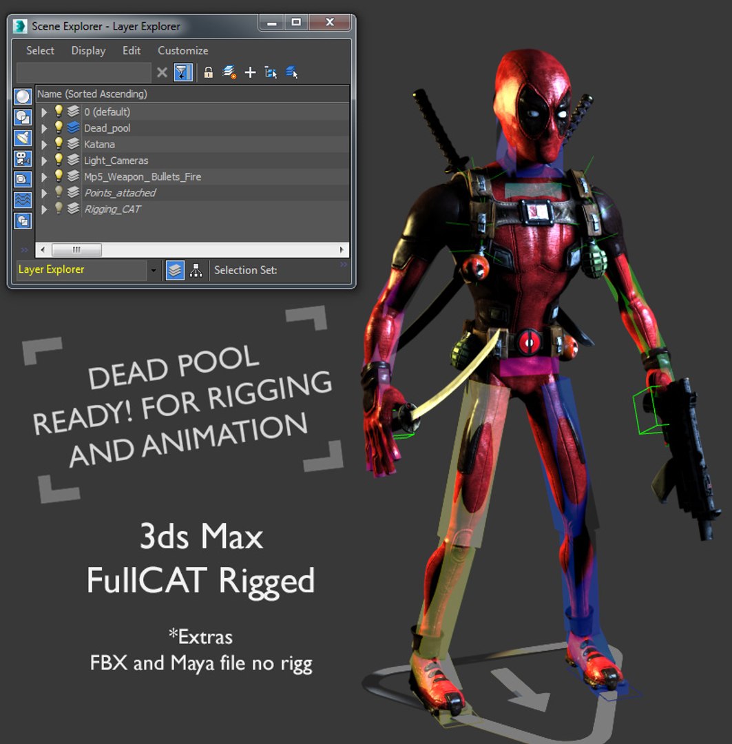 Cat Rigging 3D - TurboSquid 1158983