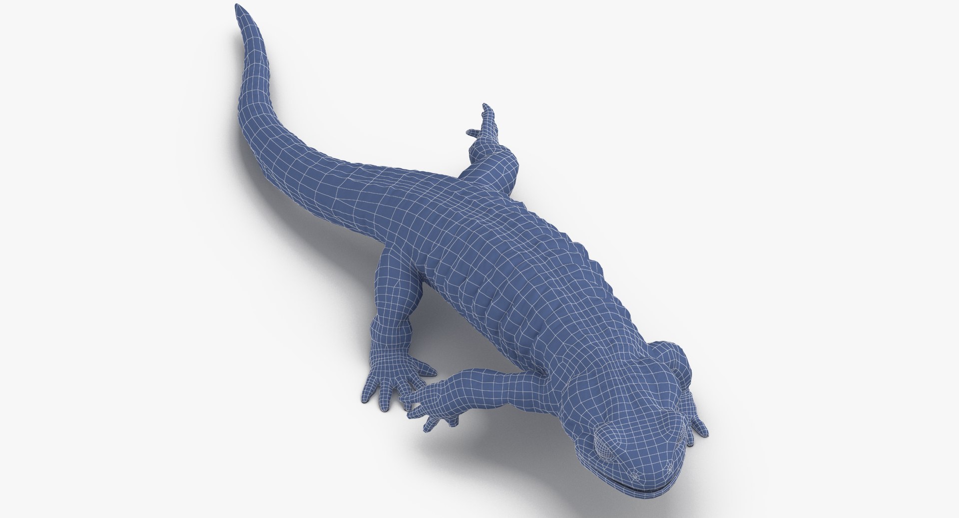 Salamander poses 3D model - TurboSquid 1391009