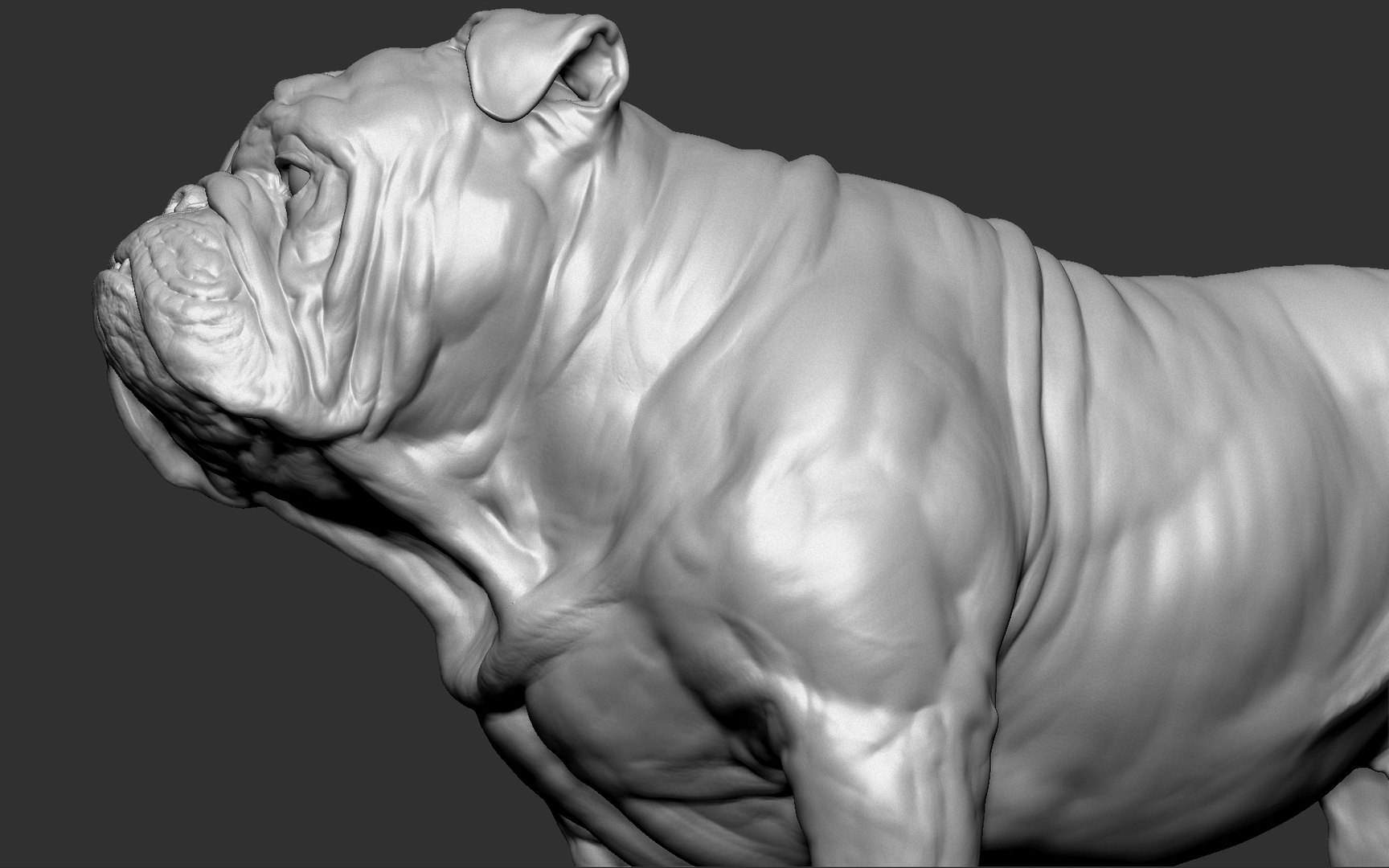 English Bulldog Dog Vfx 3D - TurboSquid 1461982