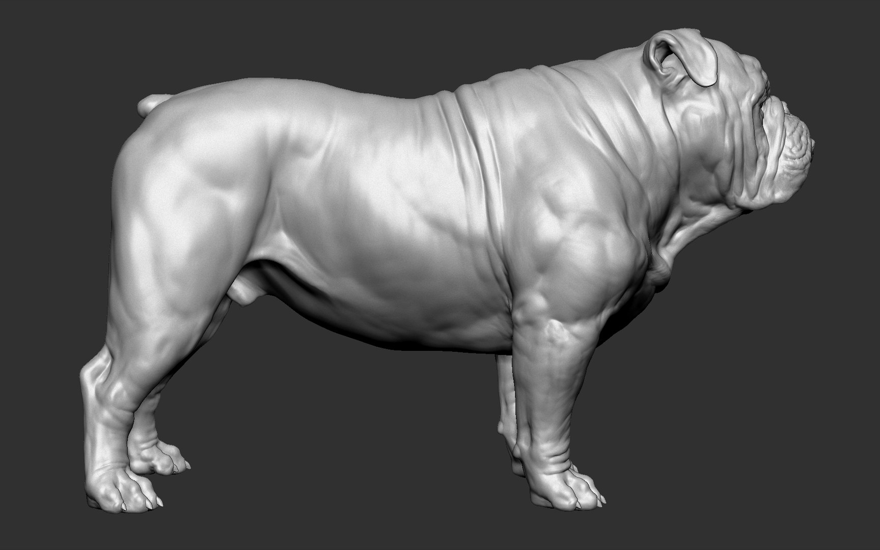 English Bulldog Dog Vfx 3D - TurboSquid 1461982