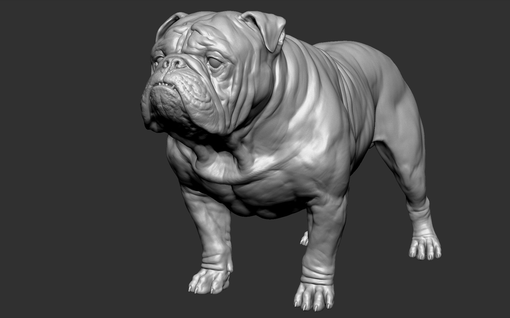 English Bulldog Dog Vfx 3D - TurboSquid 1461982