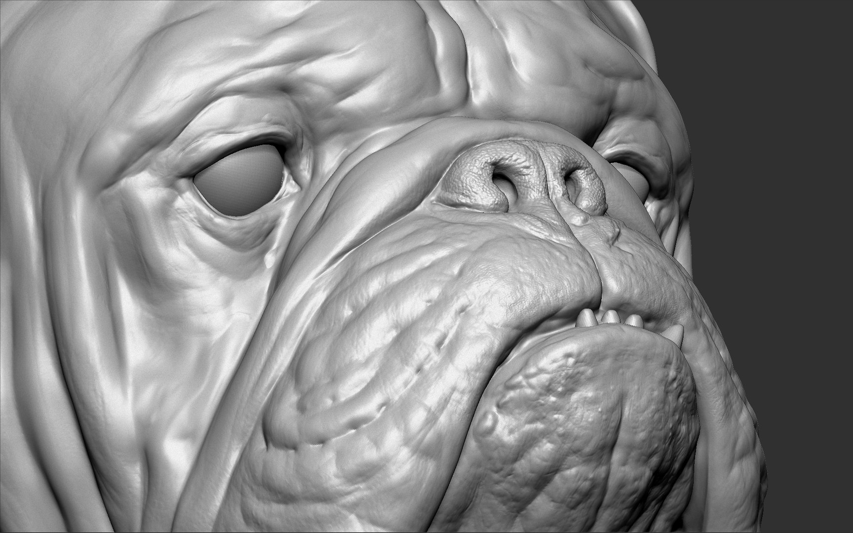 English Bulldog Dog Vfx 3D - TurboSquid 1461982