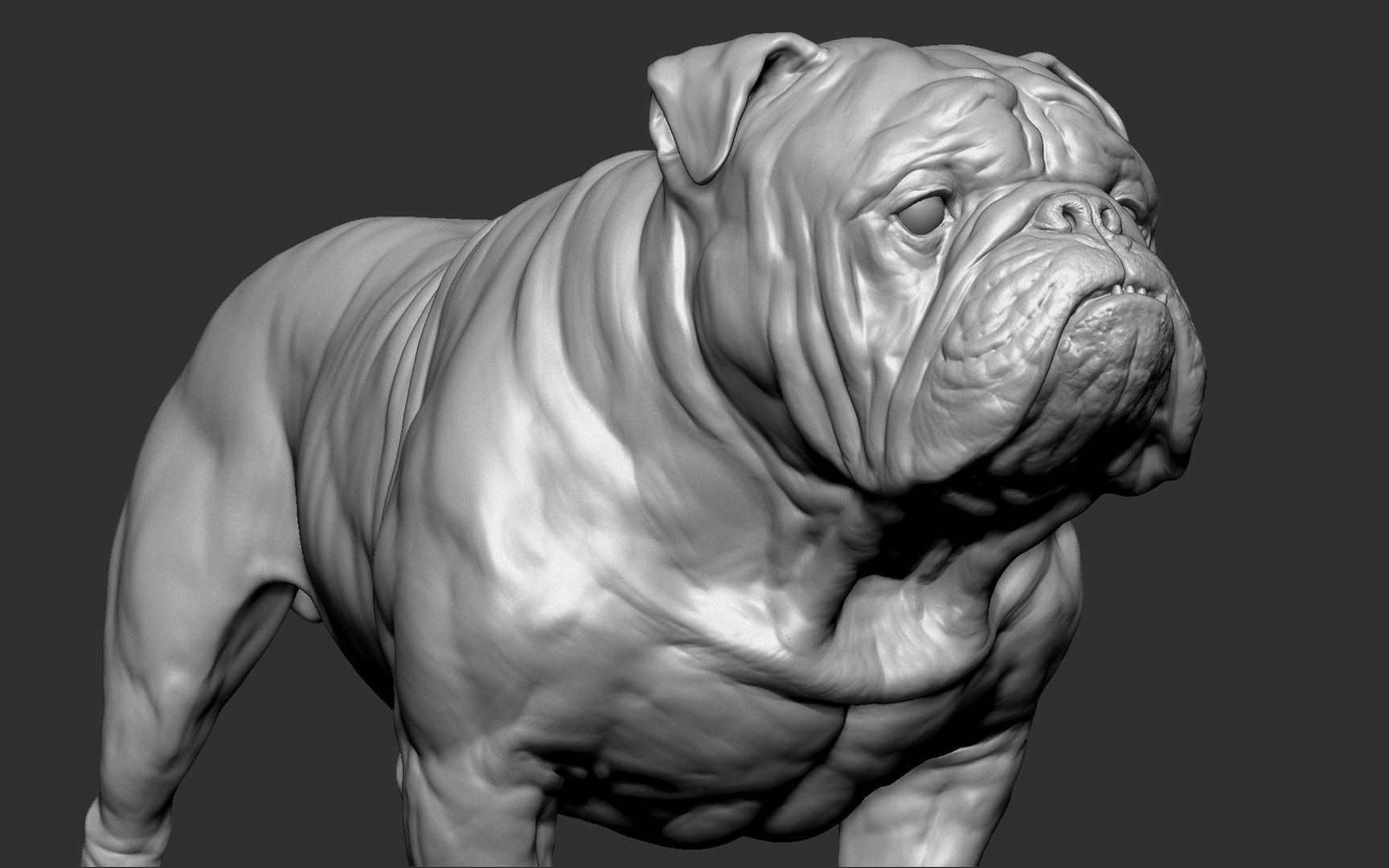 English Bulldog Dog Vfx 3D - TurboSquid 1461982