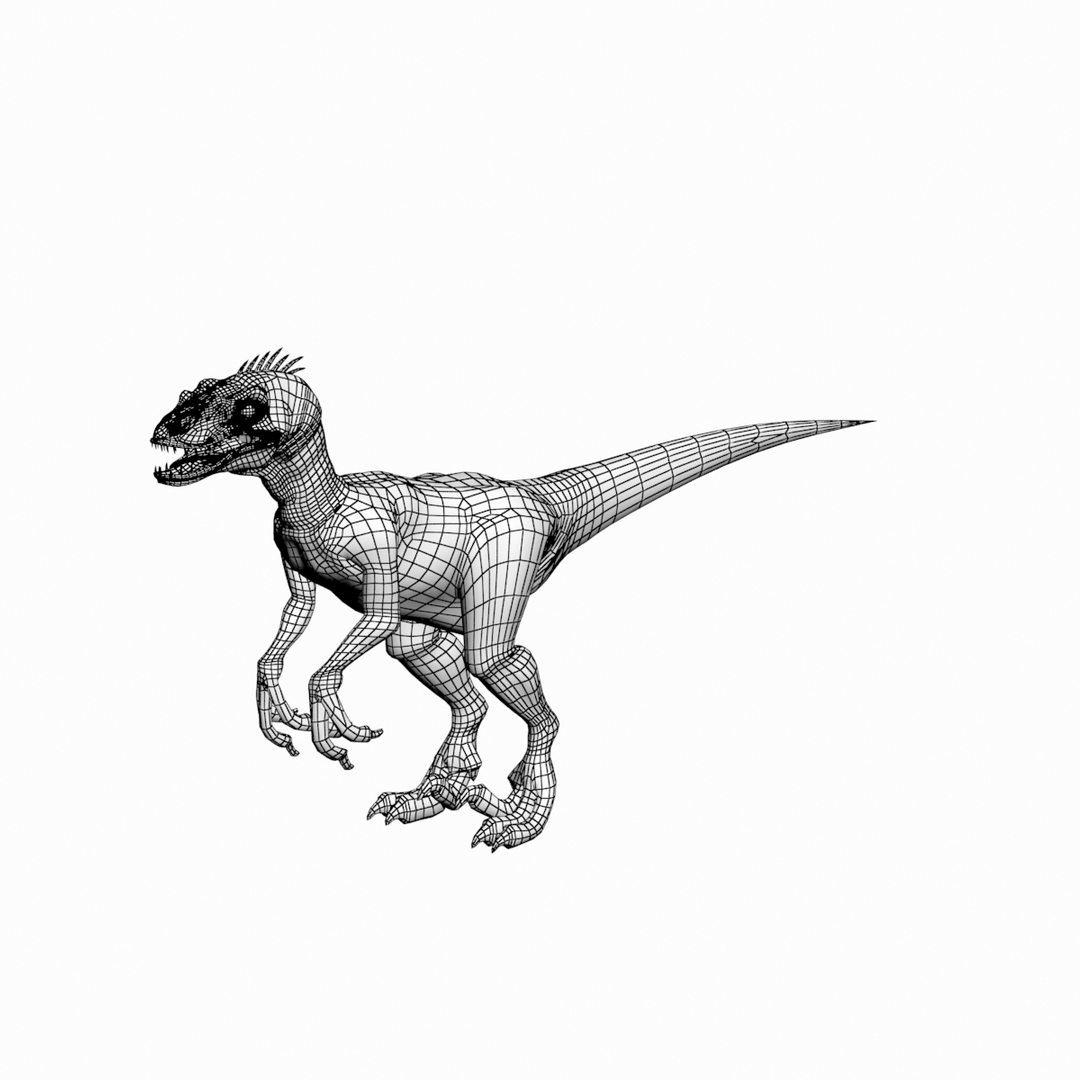 3d 3ds Velociraptor Dinosaur Animation