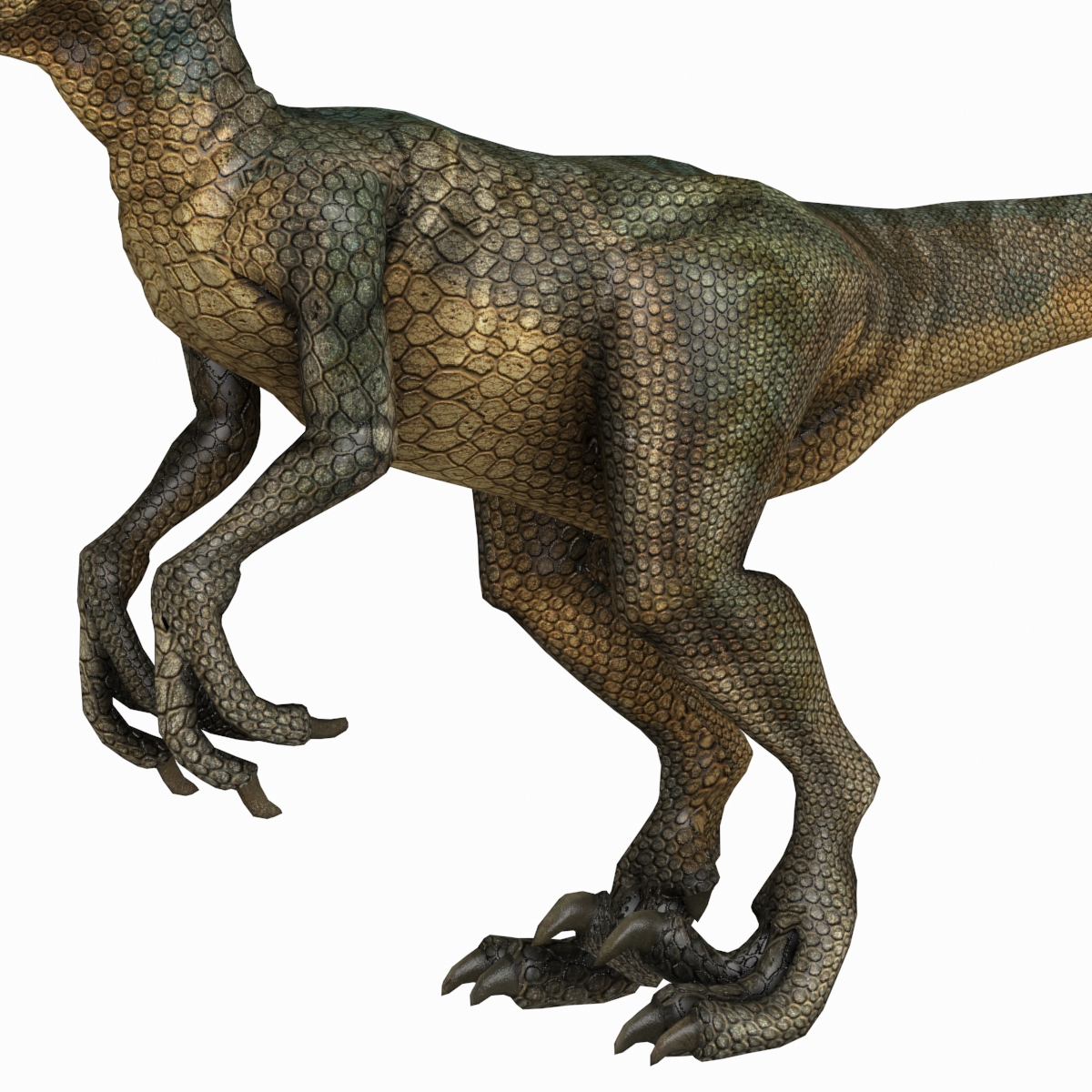 3d 3ds velociraptor dinosaur animation