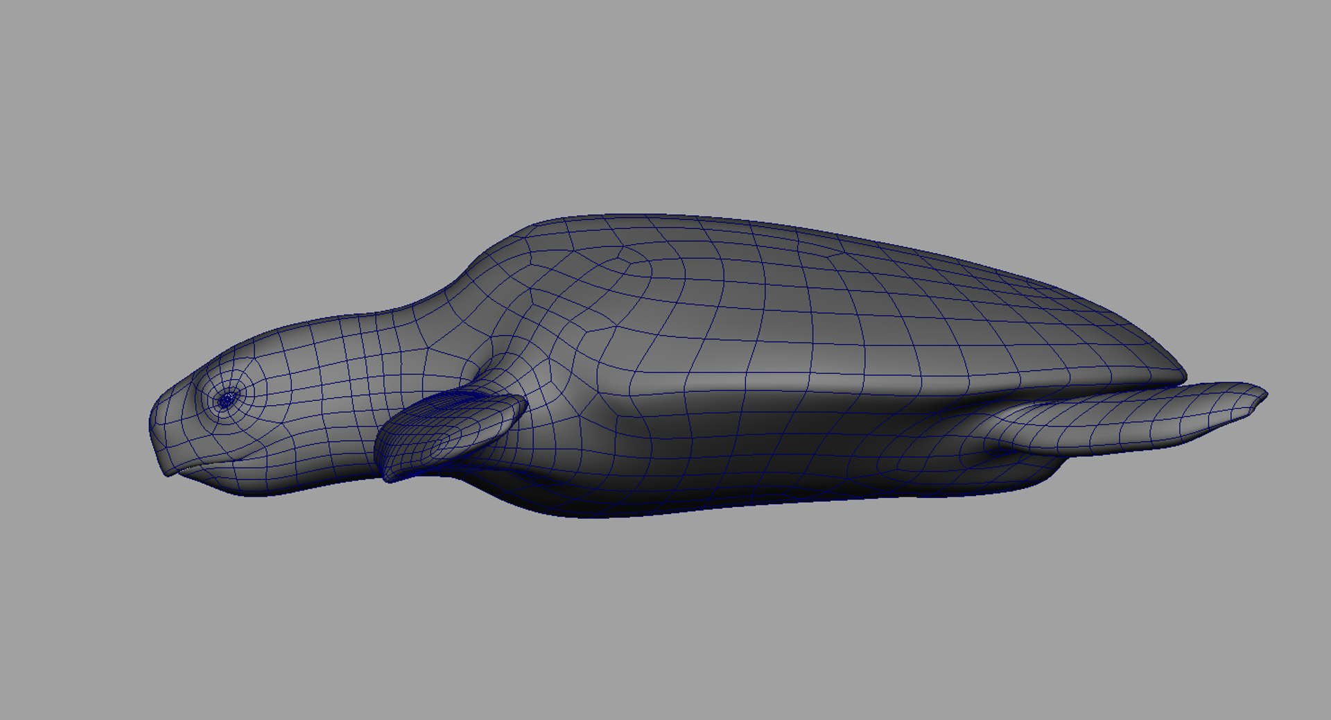 Tortoise 3D Model - TurboSquid 1561757