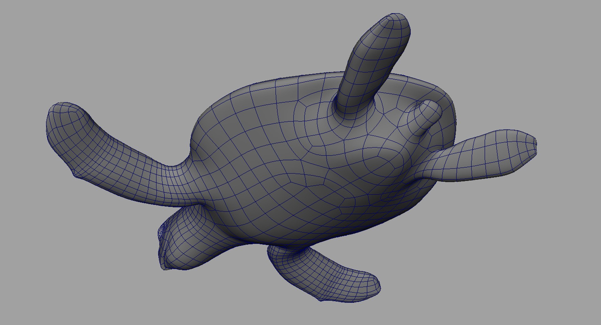 Tortoise 3D Model - TurboSquid 1561757