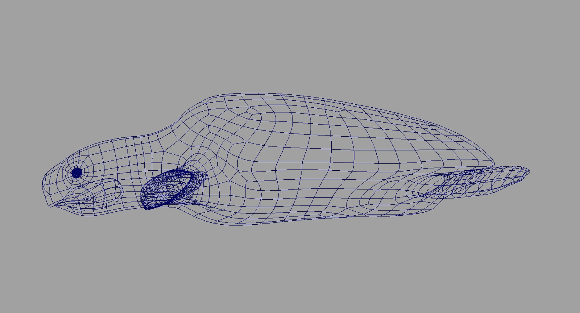 Tortoise 3D Model - TurboSquid 1561757