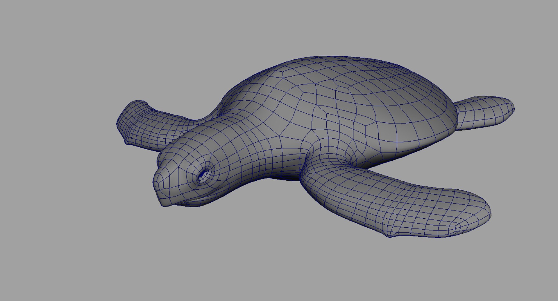 Tortoise 3D Model - TurboSquid 1561757