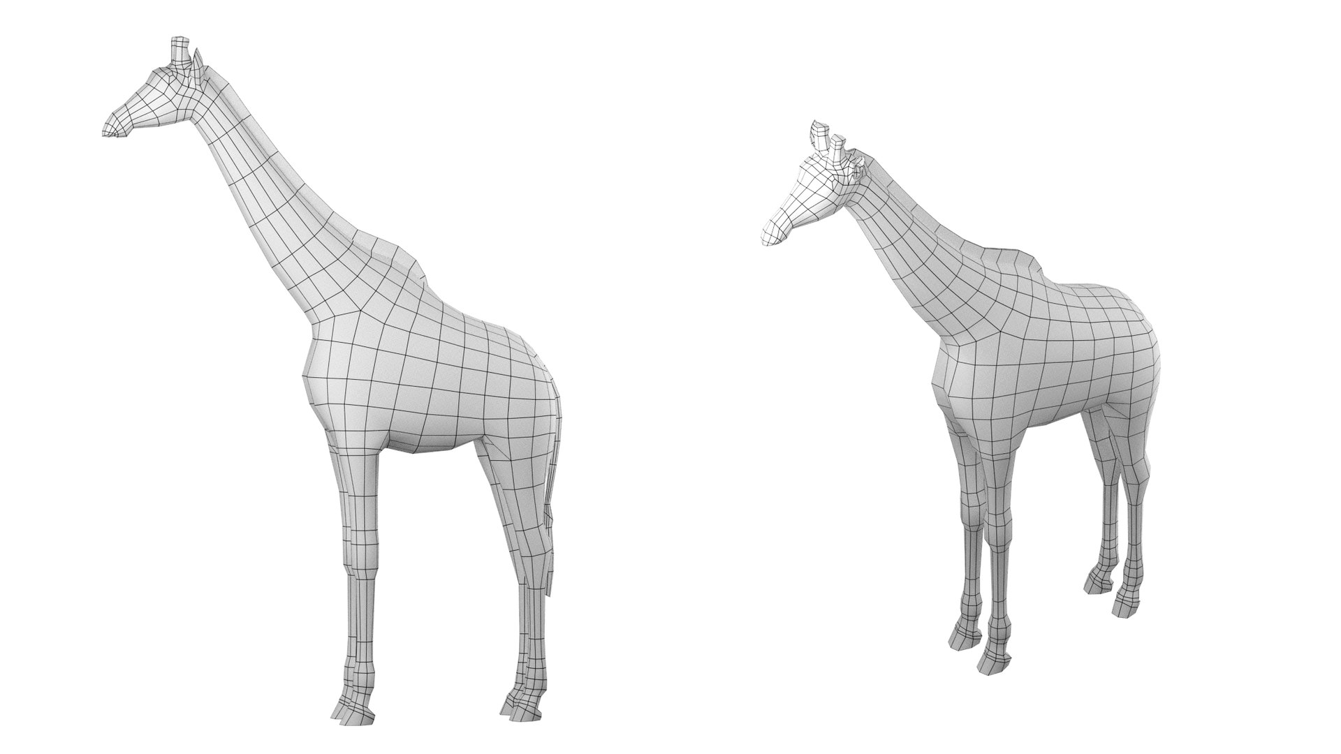 Giraffe Animal Base Mesh 3D Model - TurboSquid 2213673