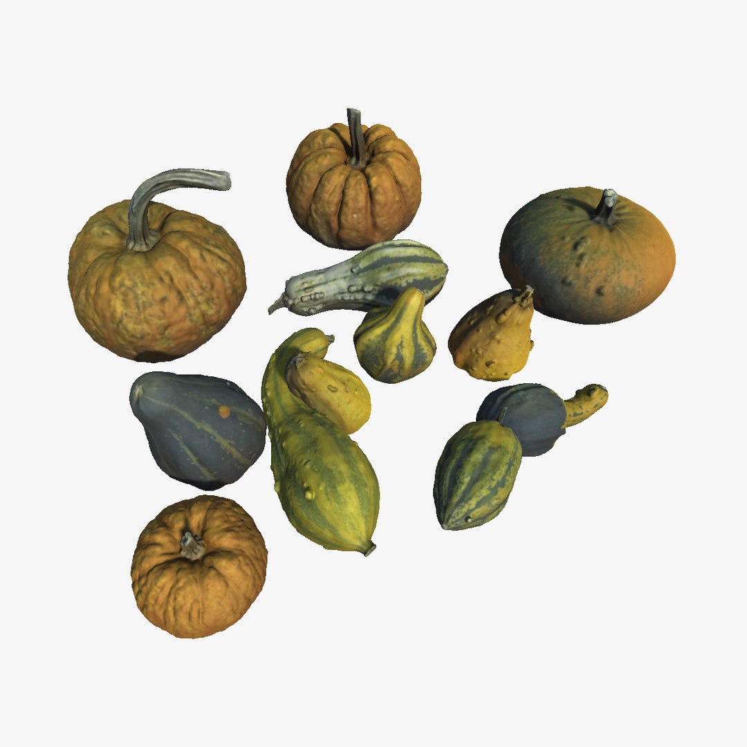 Scanned Pumpkins 3D Model - TurboSquid 1963145