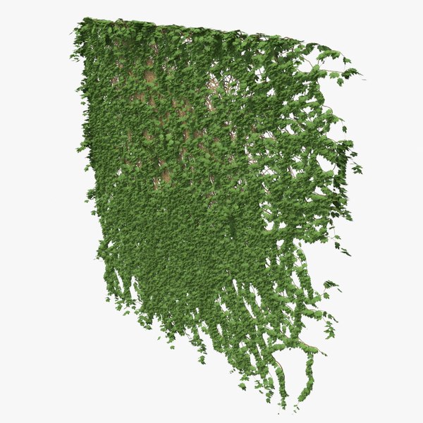 3D realistic ivy model | 1148270 | TurboSquid